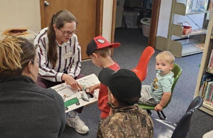 school library audit